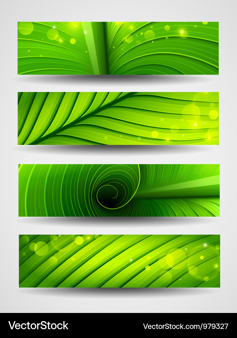 Green leaf Royalty Free Vector Image - VectorStock