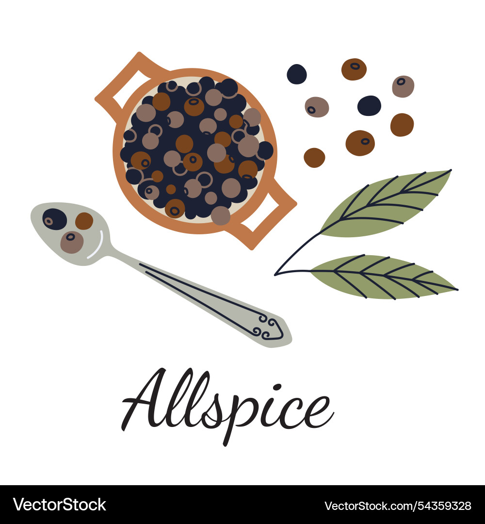 Allspice in flat cartoon style Royalty Free Vector Image
