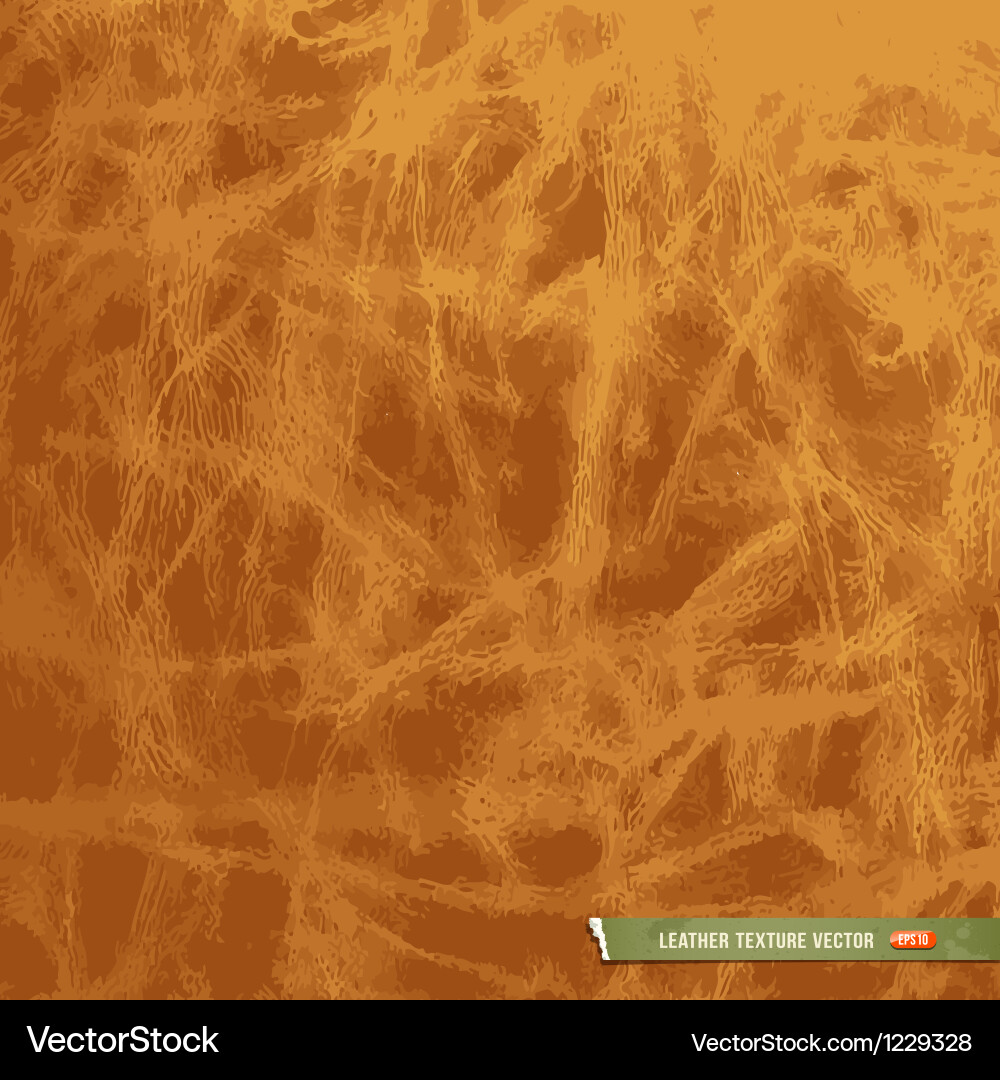 Brown leather cover book texture Royalty Free Vector Image