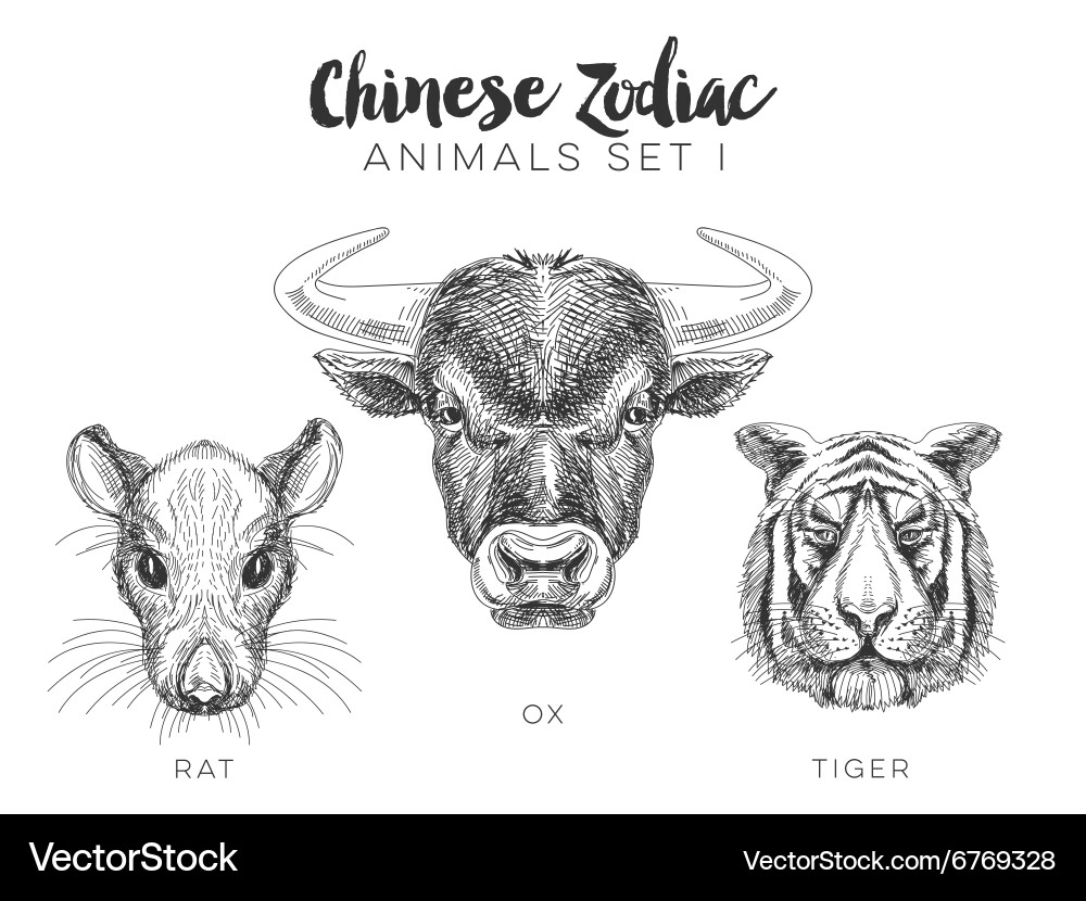 Chinese Zodiac Animal Set Royalty Free Vector Image