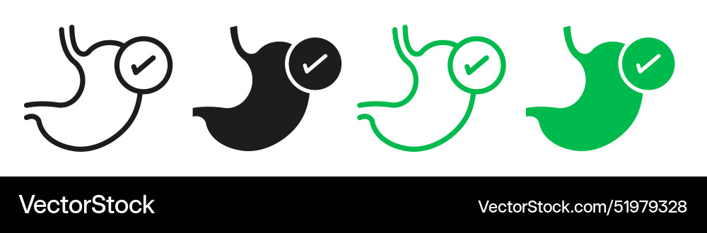 Gastrointestinal health icon encouraging optimal Vector Image