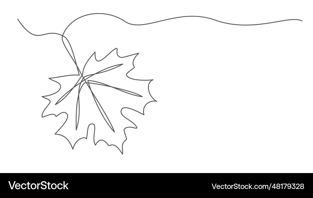 Maple leaf one line drawing isolated on white Vector Image