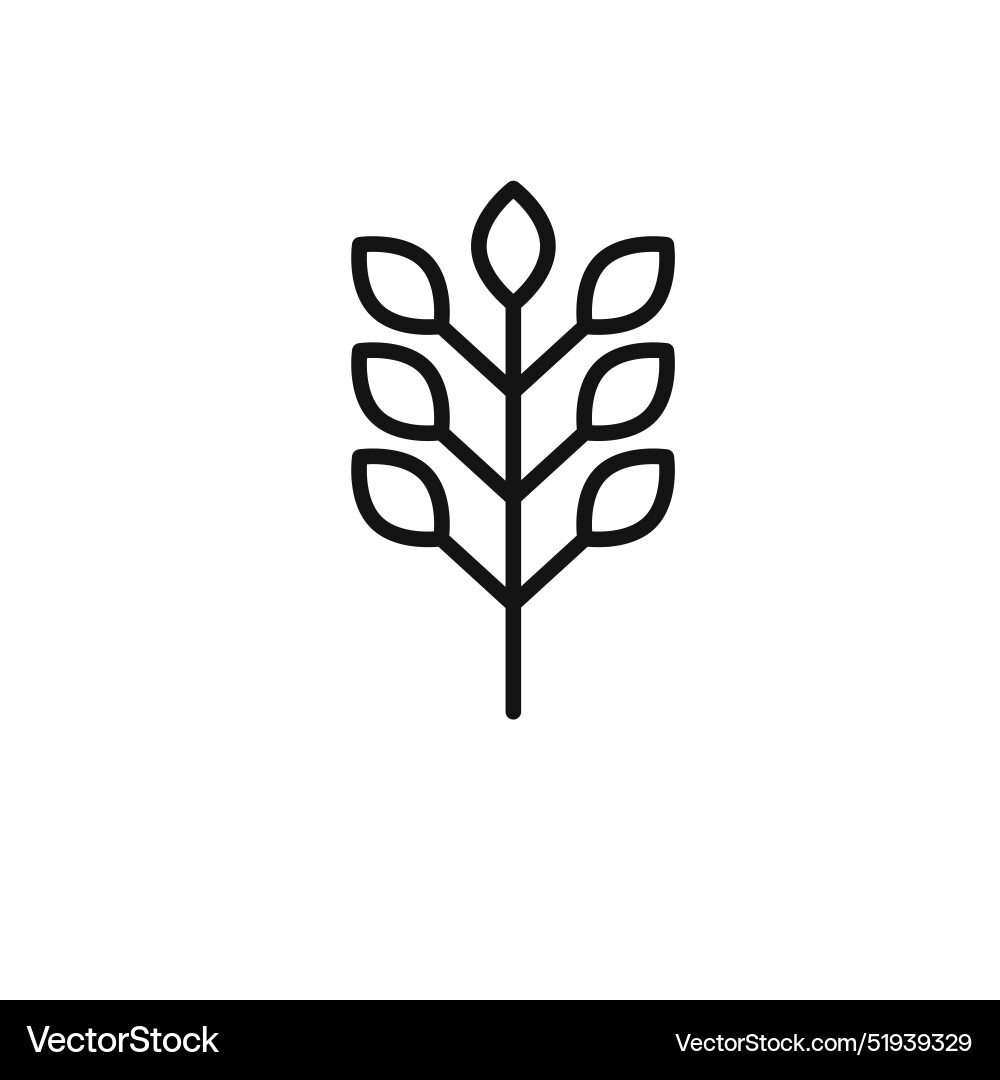 Acacia icon logo sign outline Royalty Free Vector Image