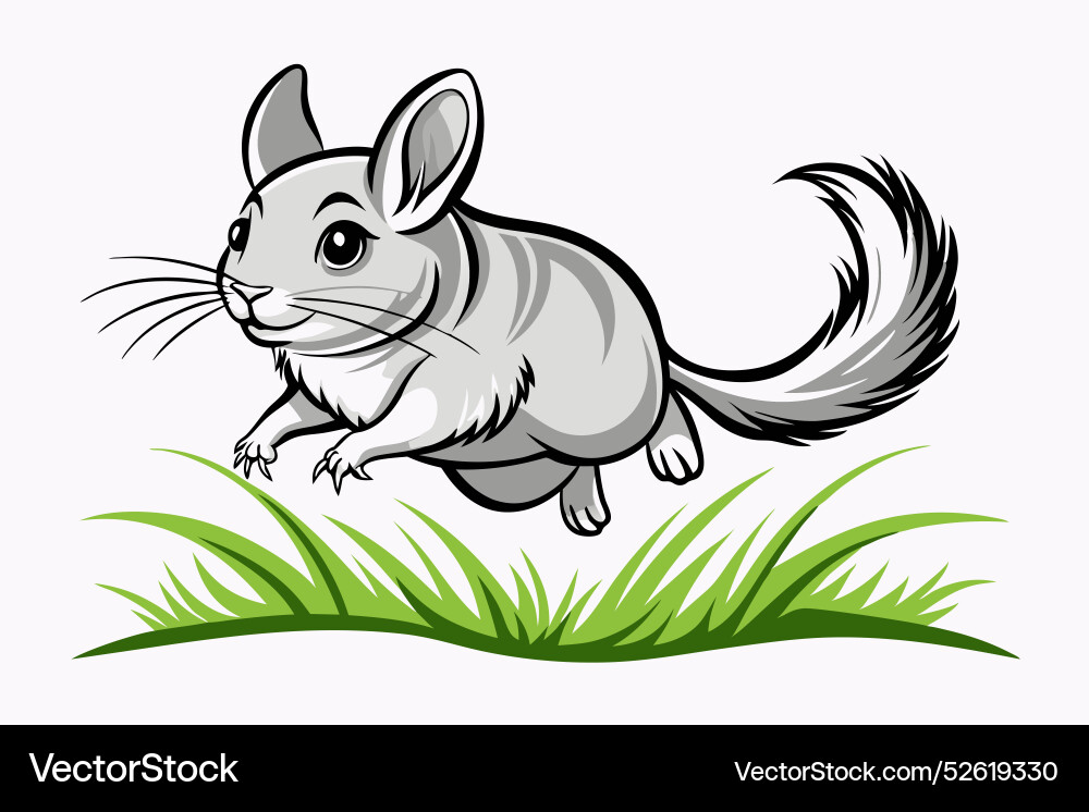 Chinchilla jump in grass silhouette r Royalty Free Vector