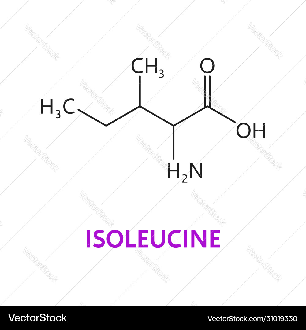 Isoleucine Amino Acid Structure Royalty Free Vector Image