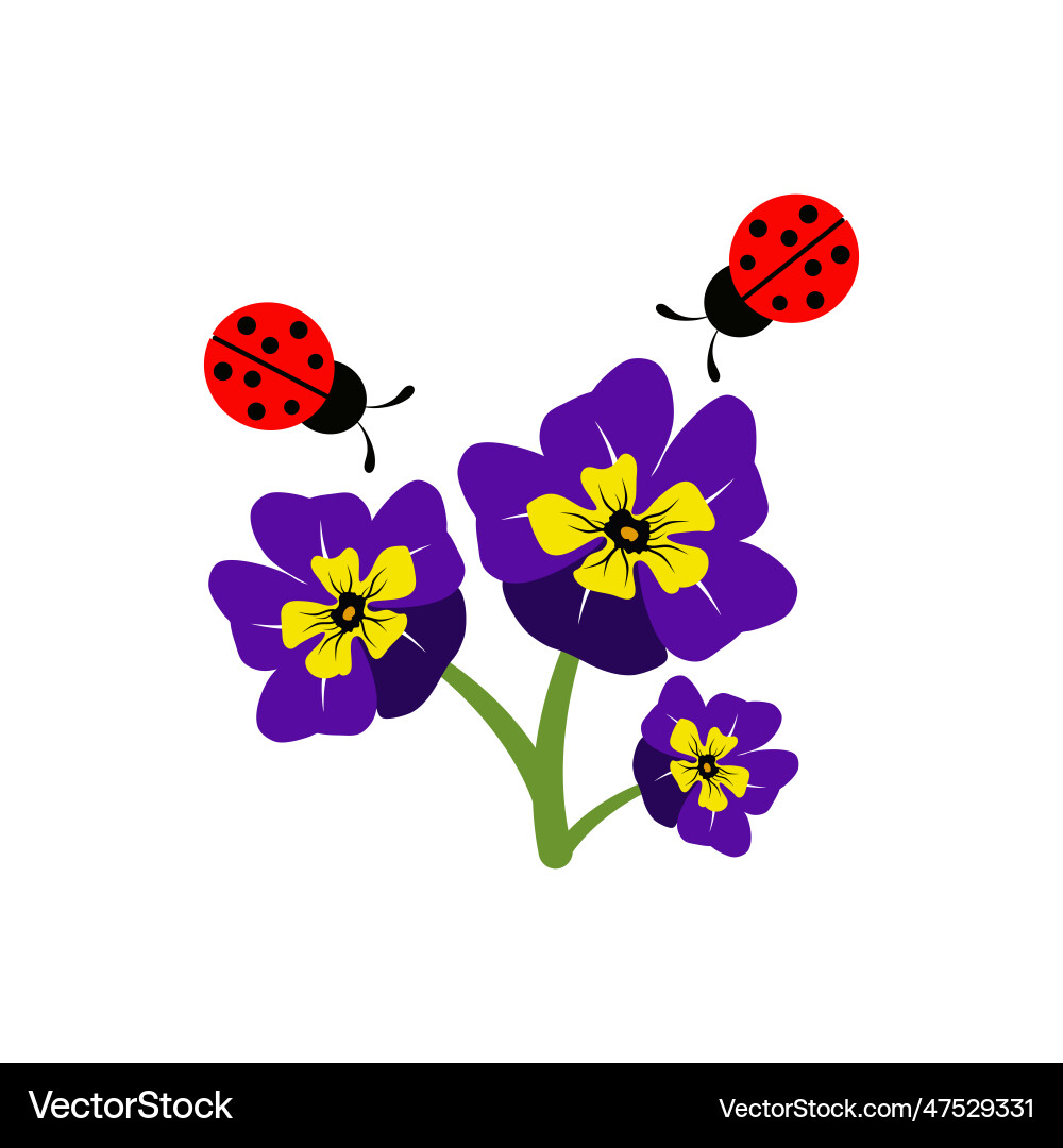 Cute print with viola flowers and ladybugs Vector Image