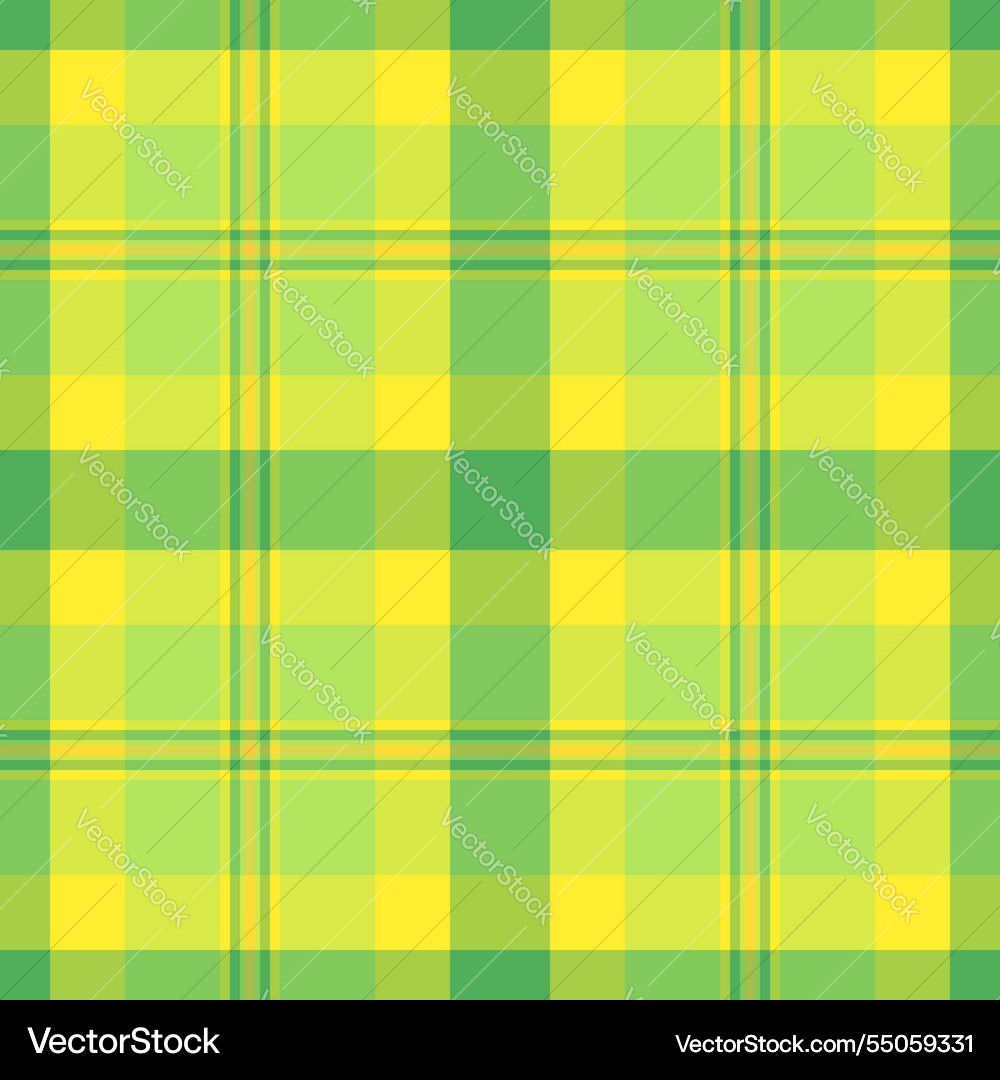 Detailed seamless plaid pattern for textiles Vector Image