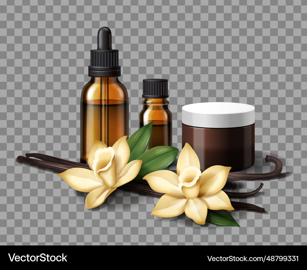 Realistic vanilla set Royalty Free Vector Image