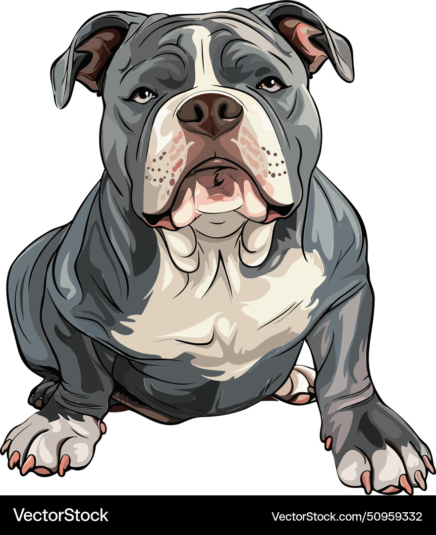 Bully dog adorable art Royalty Free Vector Image