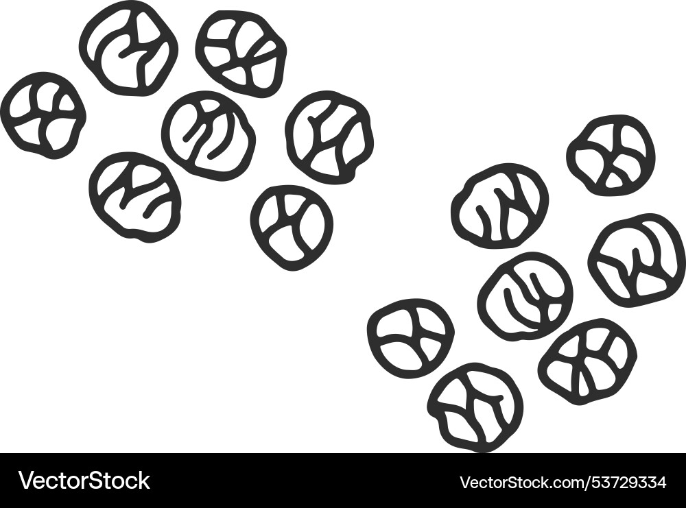 Black pepper doodle hand drawn food spice Vector Image