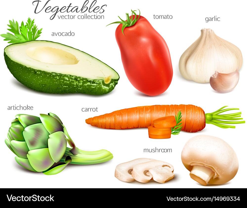 Collection Royalty Free Vector Image - VectorStock