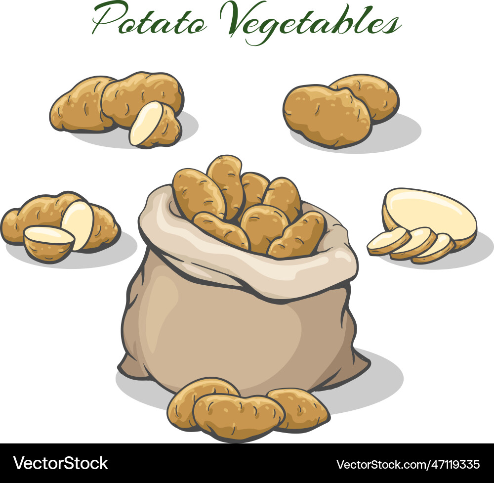 Potatoes sack and tubers Royalty Free Vector Image