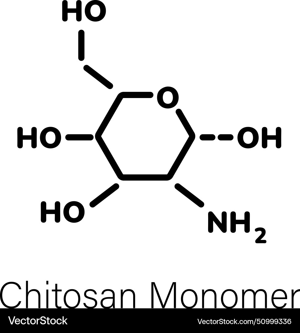 Chitosan monomer Royalty Free Vector Image - VectorStock