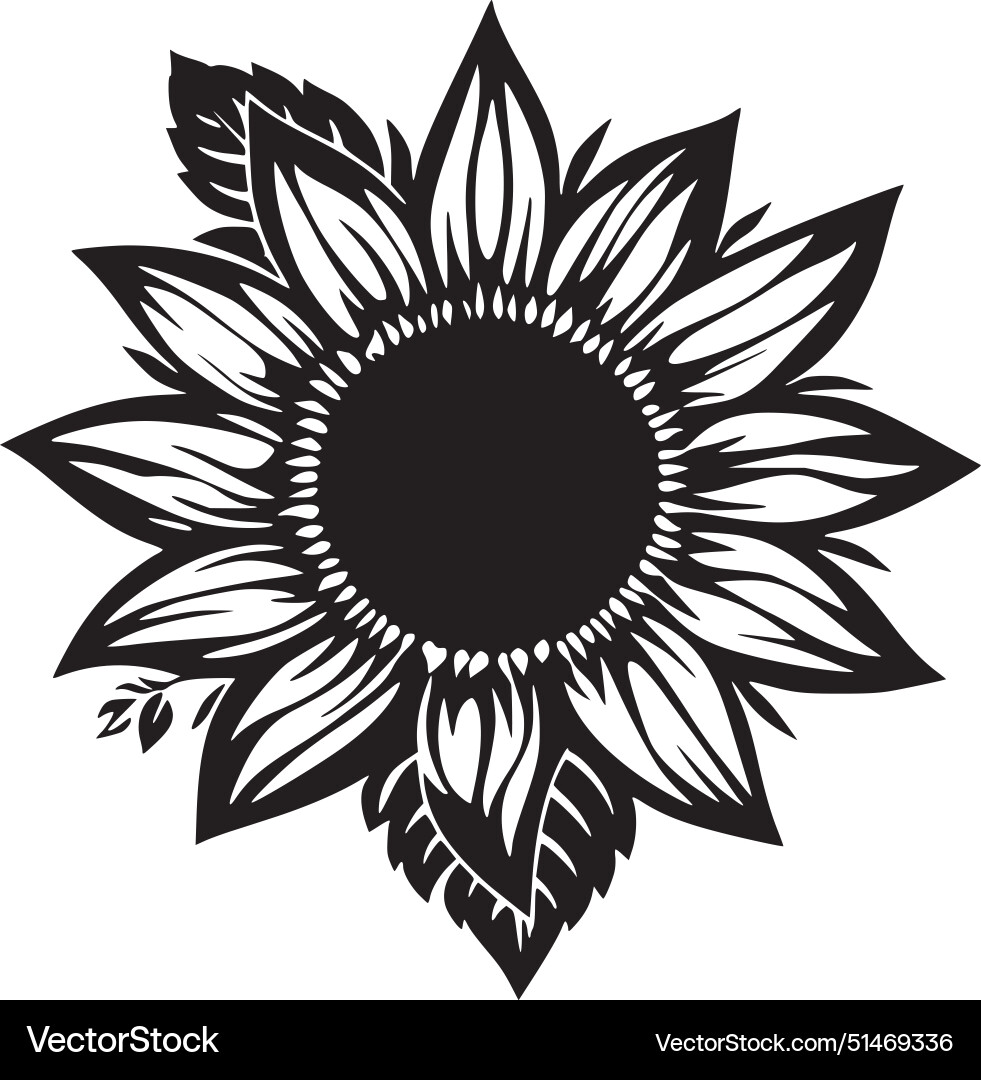 Sunflower - black and white Royalty Free Vector Image