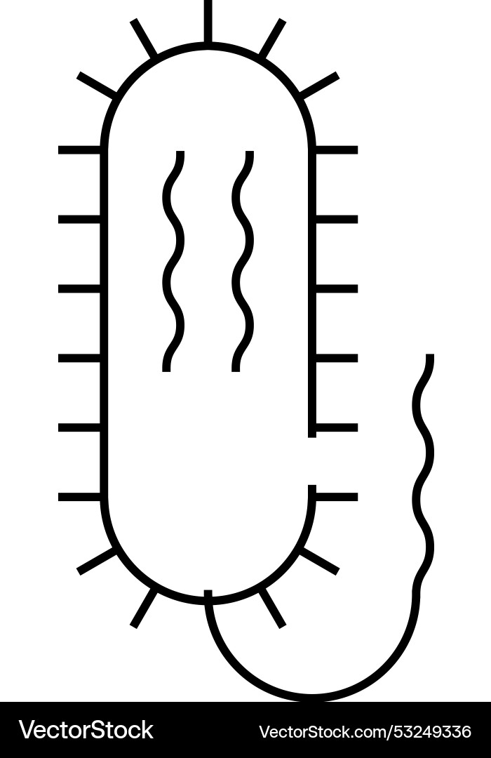Vibrio cholerae line icon isolated Royalty Free Vector Image