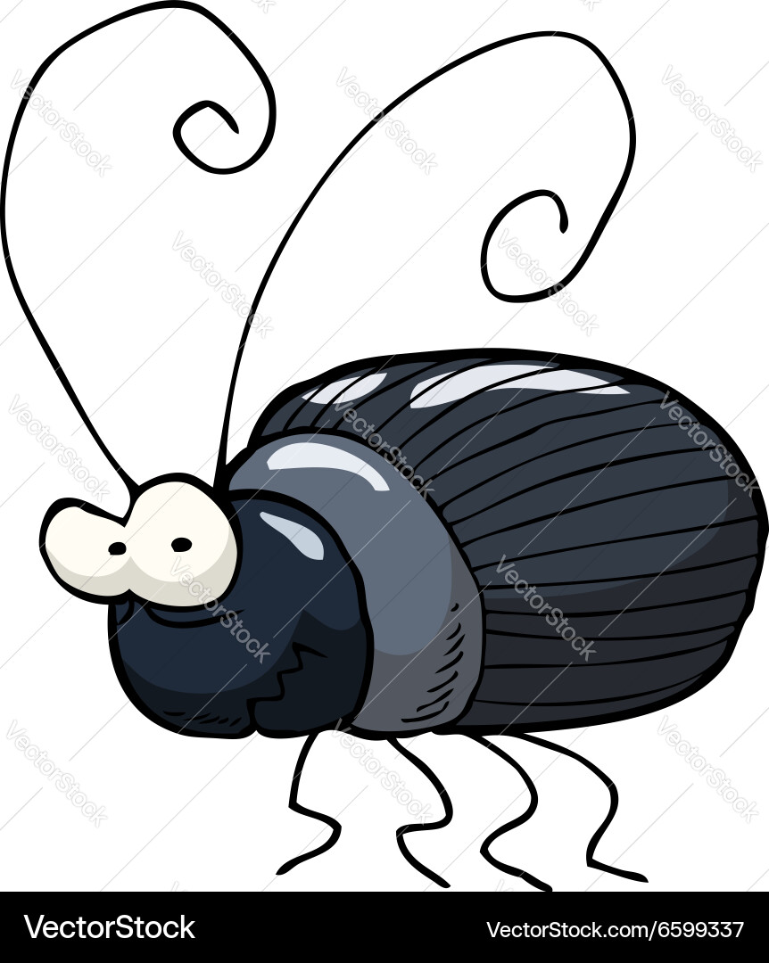 Black beetle Royalty Free Vector Image - VectorStock