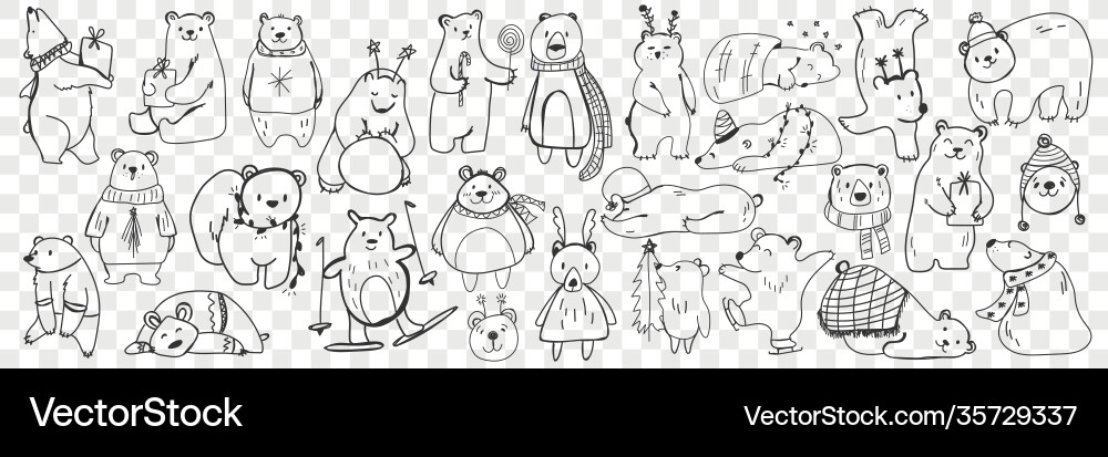 Cute Bear Doodle Set - Arctic & Teddy Vector Image