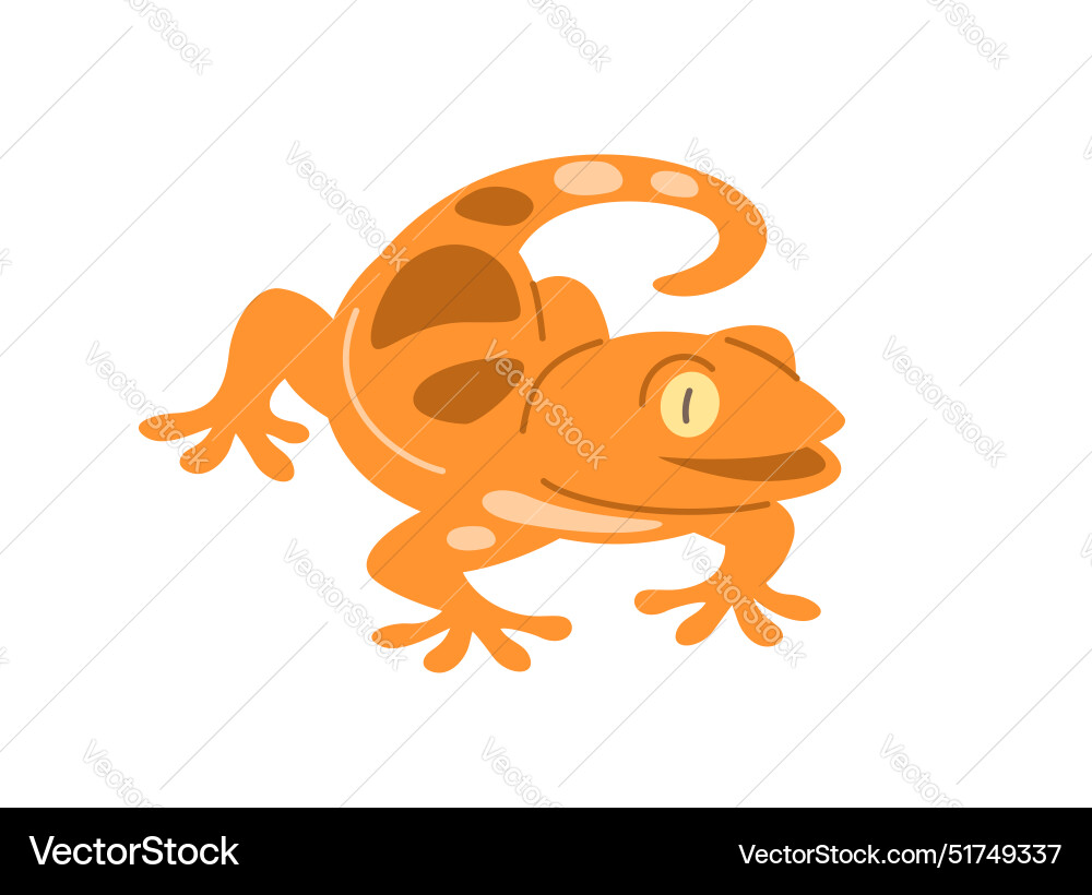 Gecko reptile pet doodle hand drawn character Vector Image