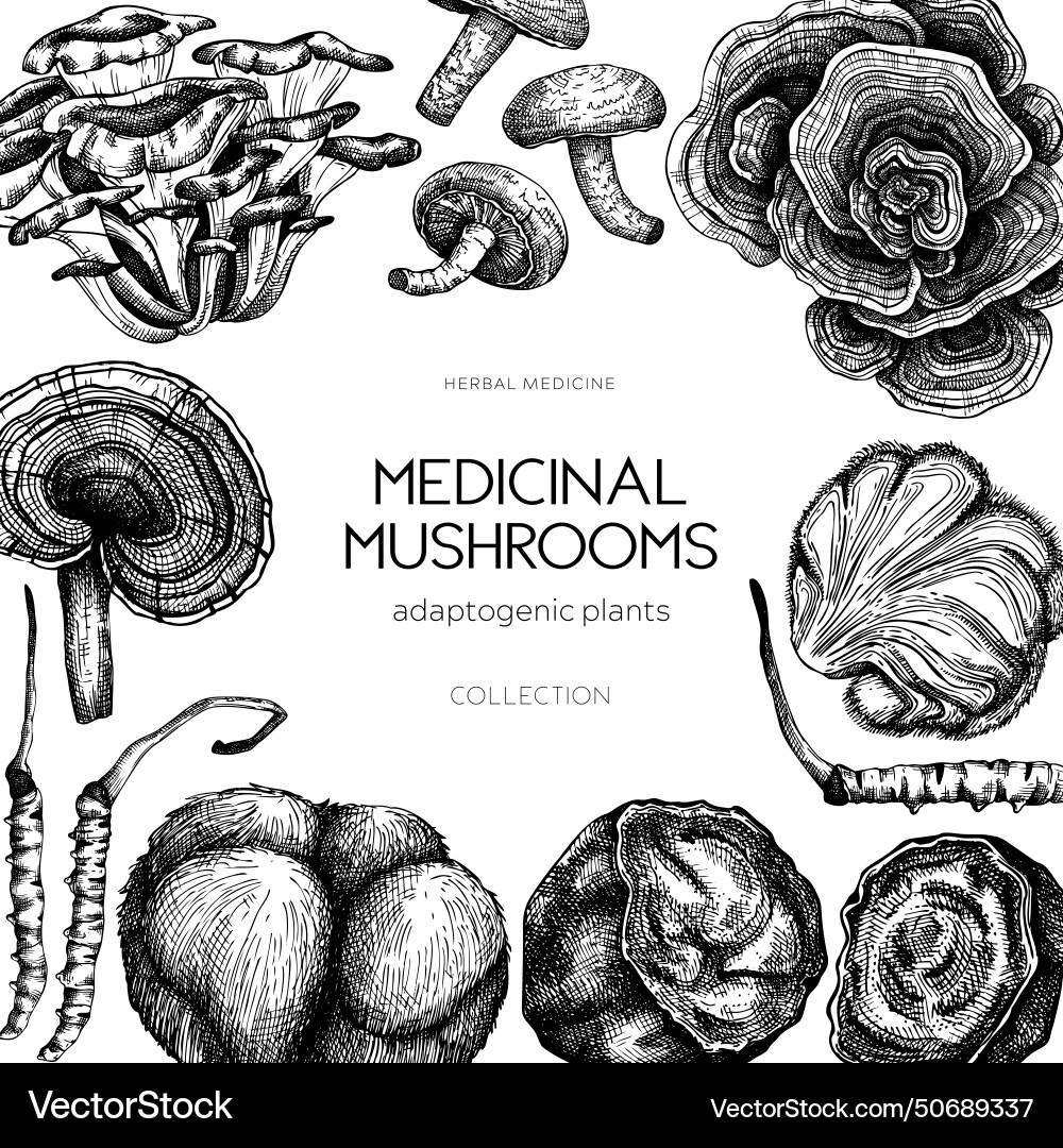 Medicinal mushroom frame design hand-drawn Vector Image