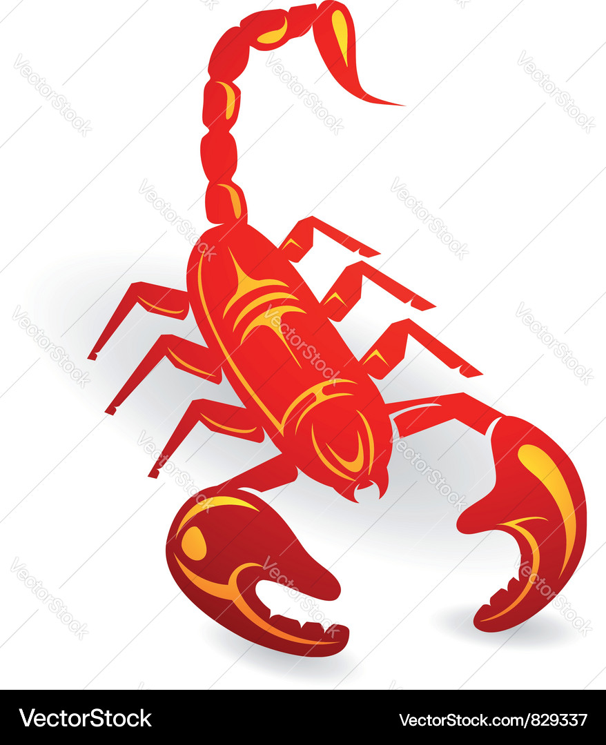 Scorpion Royalty Free Vector Image - VectorStock