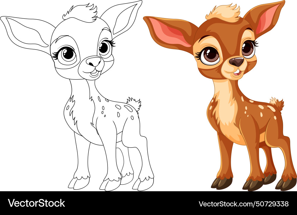 A fawn outlined and colored Royalty Free Vector Image