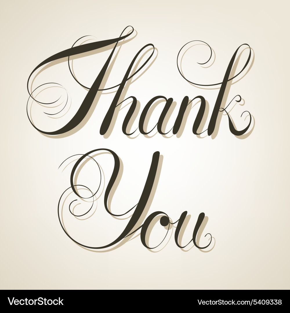 Elegant Thank You Script Royalty Free Vector Image