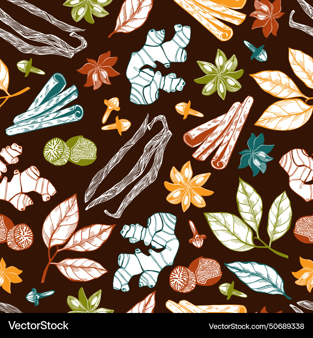 Hand-drawn herbs and spices background food Vector Image
