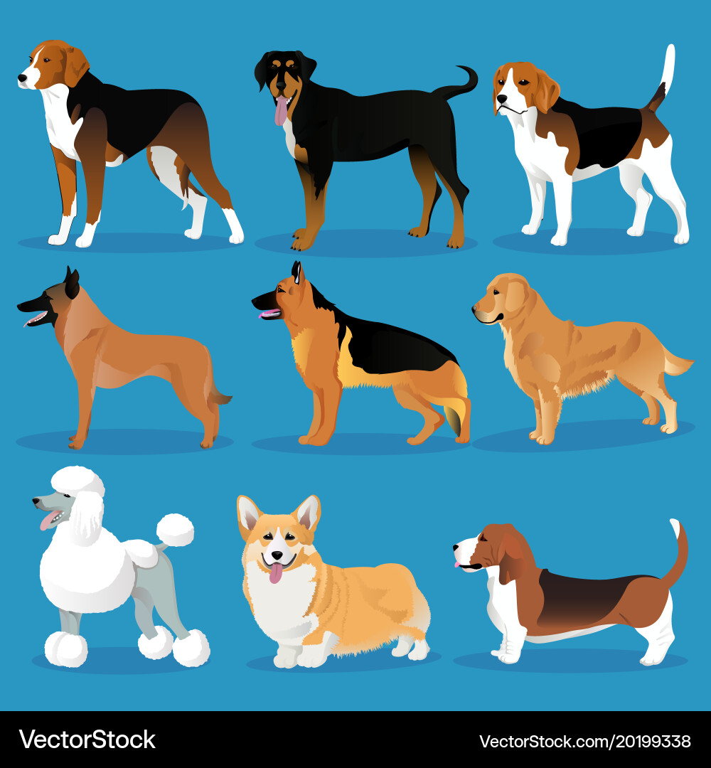 Set of dogs Royalty Free Vector Image - VectorStock