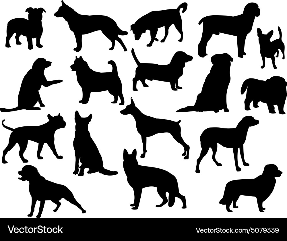 Dogs Royalty Free Vector Image - VectorStock
