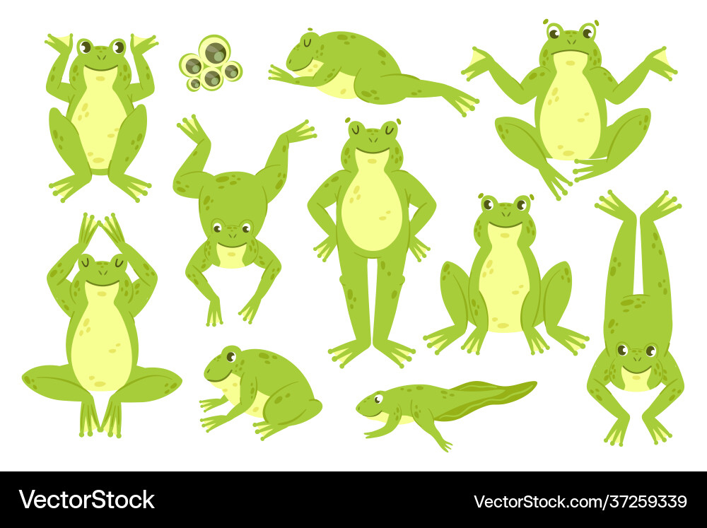 Frog cute set funny happy green characters Vector Image