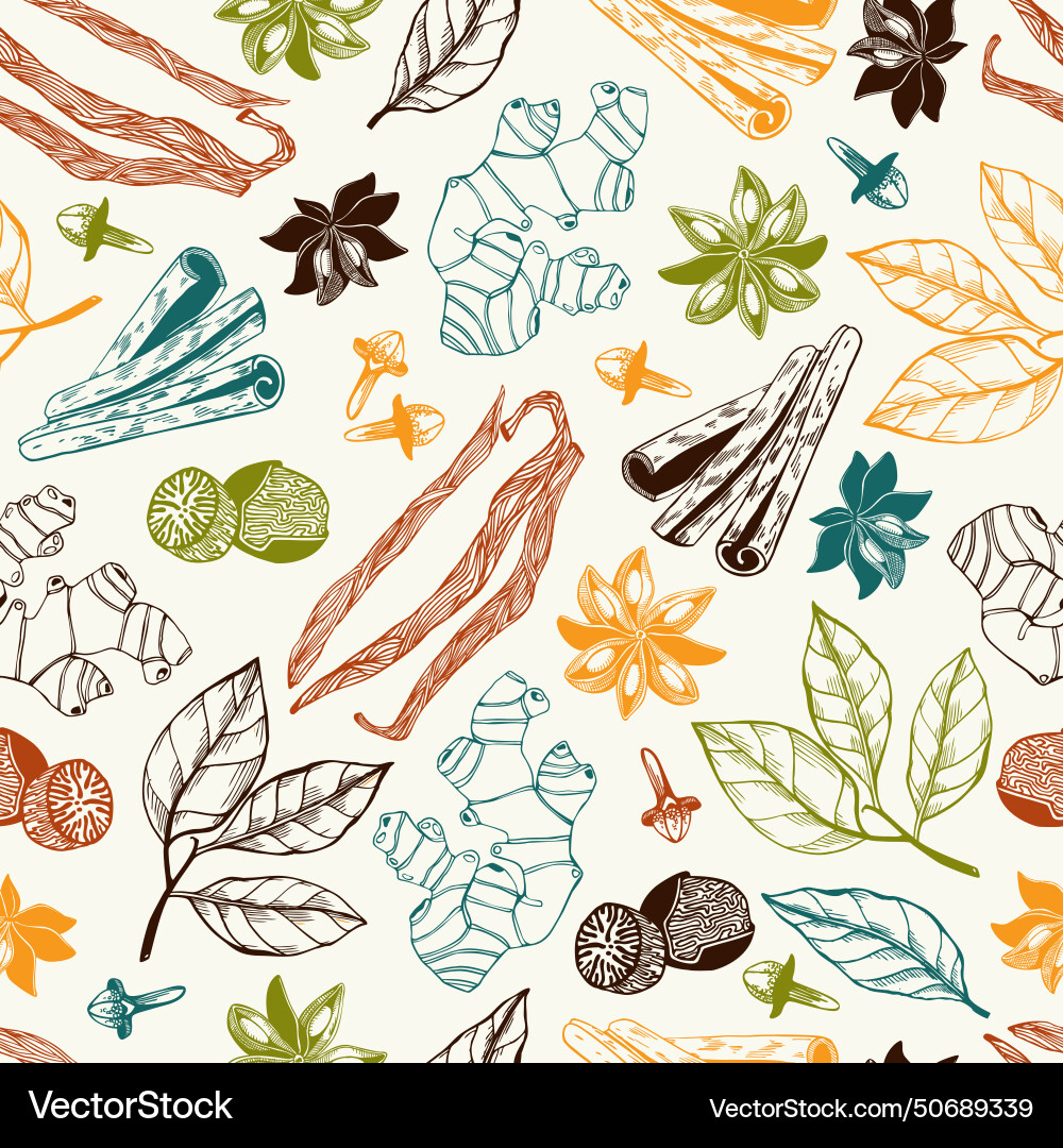Hand-drawn herbs and spices background vintage Vector Image