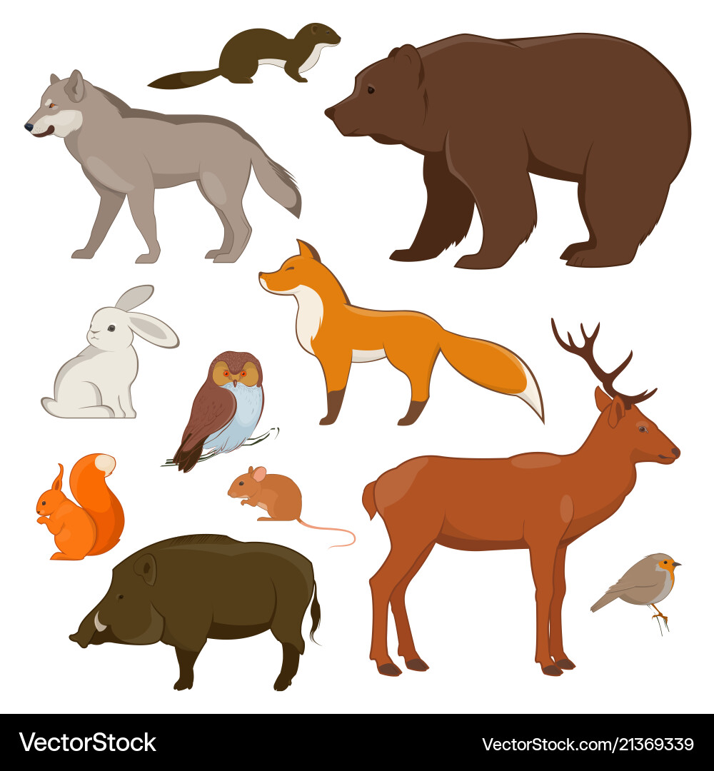 Wild Forest Animals Set Royalty Free Vector Image