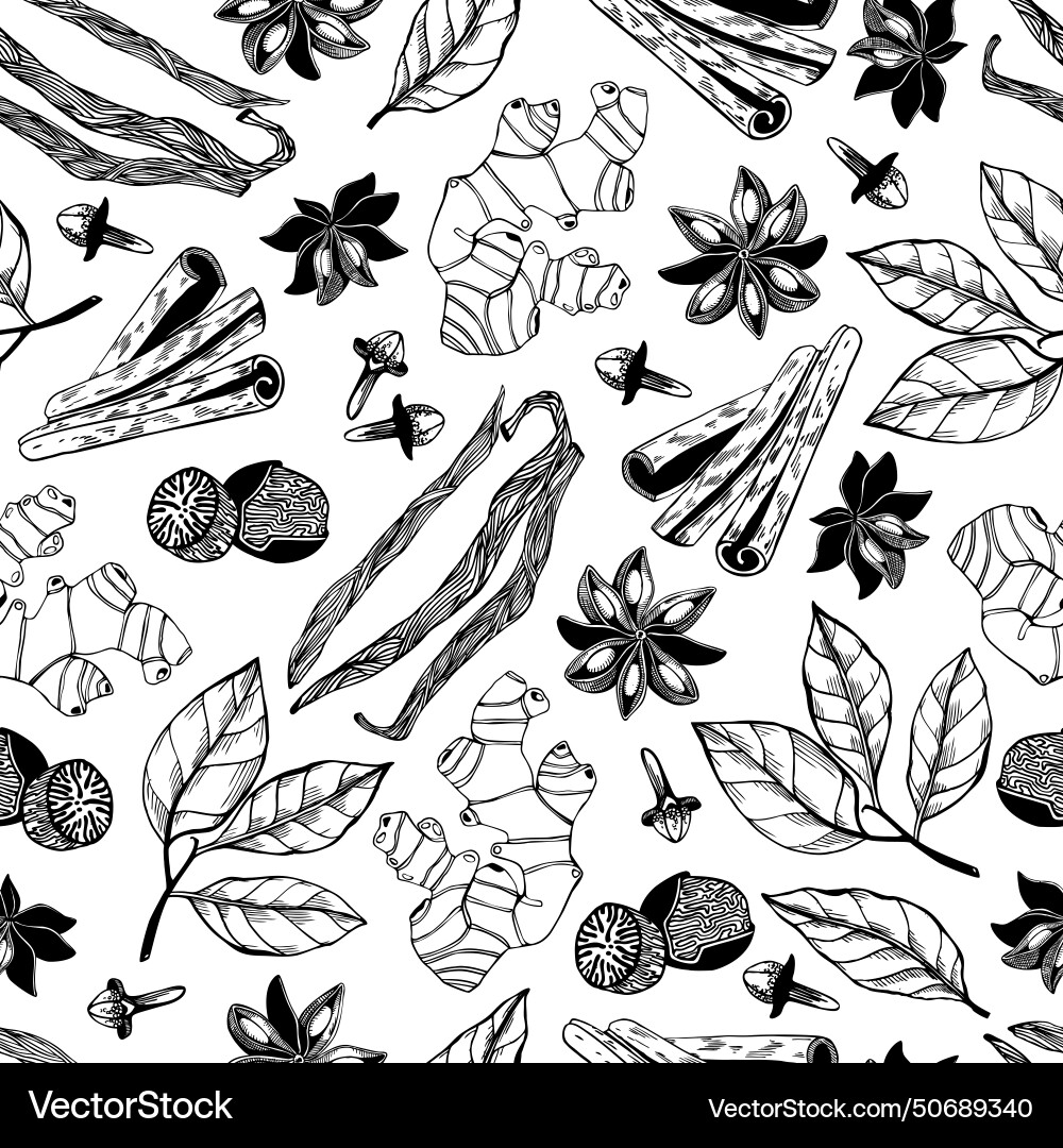 Hand-drawn herbs and spices background food Vector Image