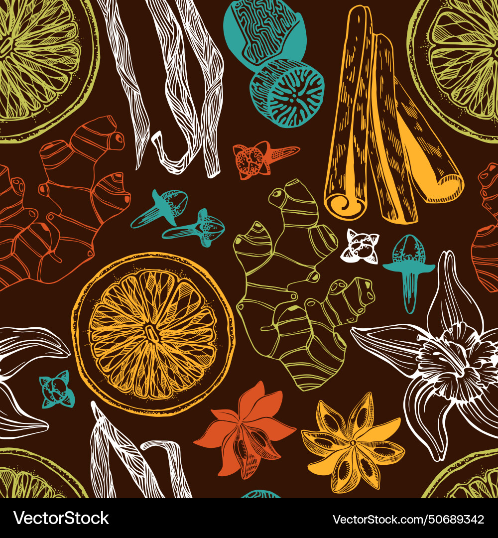 Hand-drawn herbs and spices background vintage Vector Image