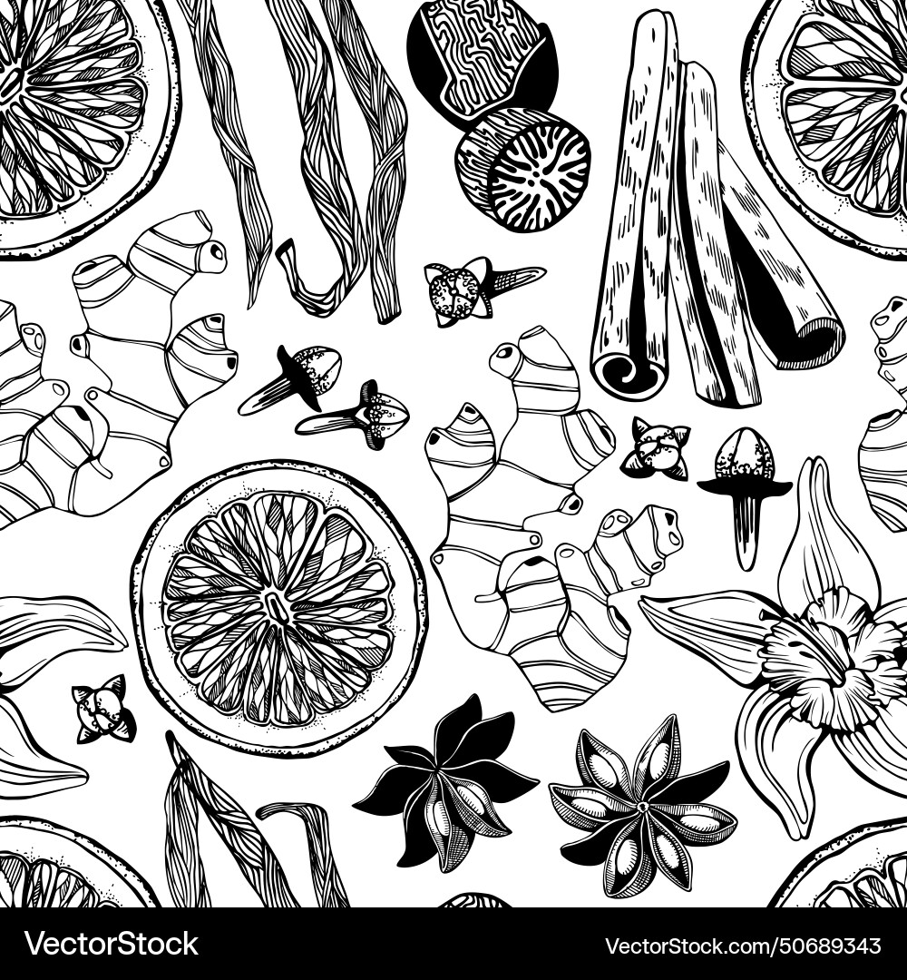 Hand-drawn herbs and spices background minimalist Vector Image