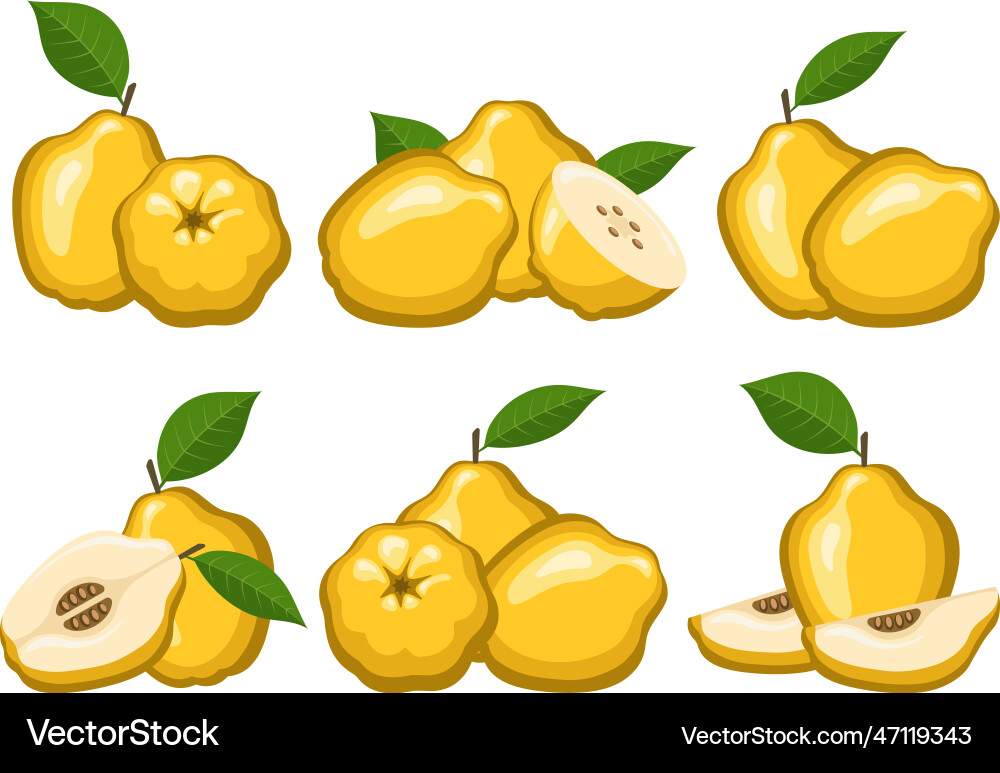 Quince cartoon isolated Royalty Free Vector Image
