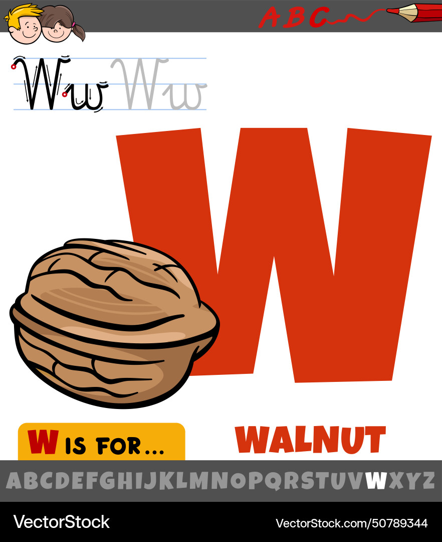 Letter w from alphabet with cartoon walnut object Vector Image
