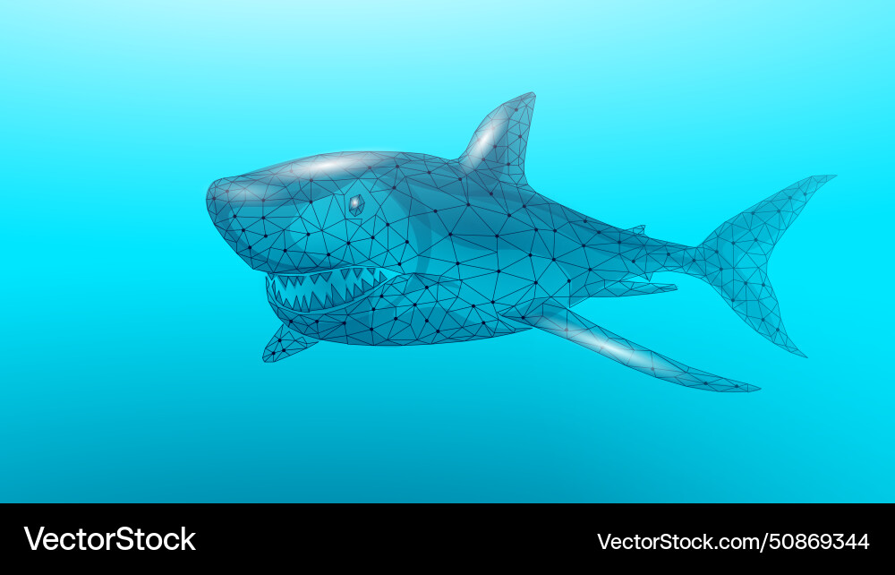 Ocean shark bottom view from below open toothy Vector Image