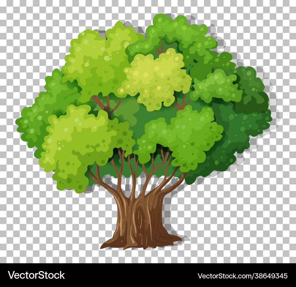 A tree isolated on transparent background Vector Image