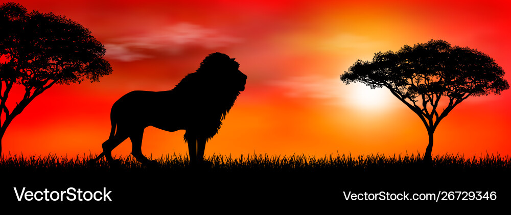 African Sunset With Lion