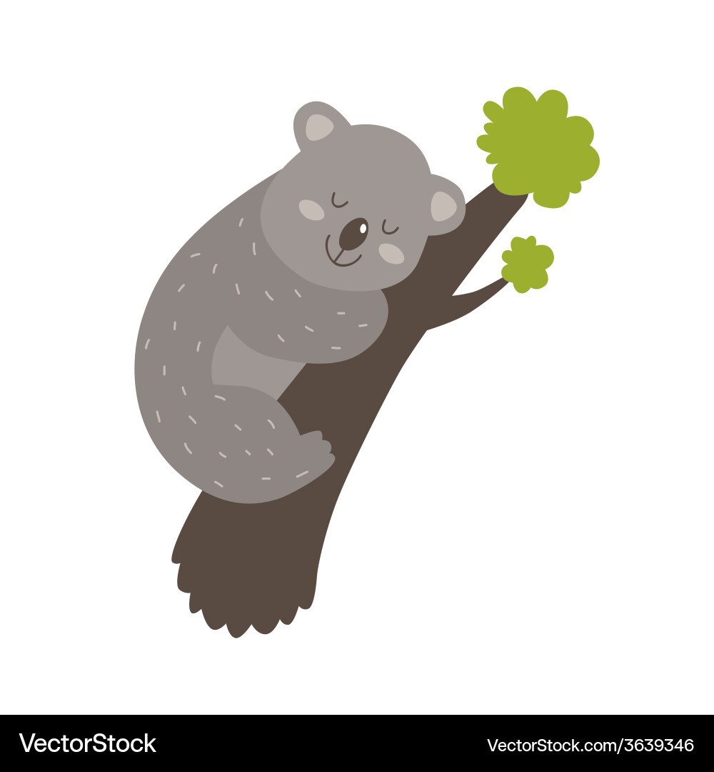 Cute koala Royalty Free Vector Image - VectorStock