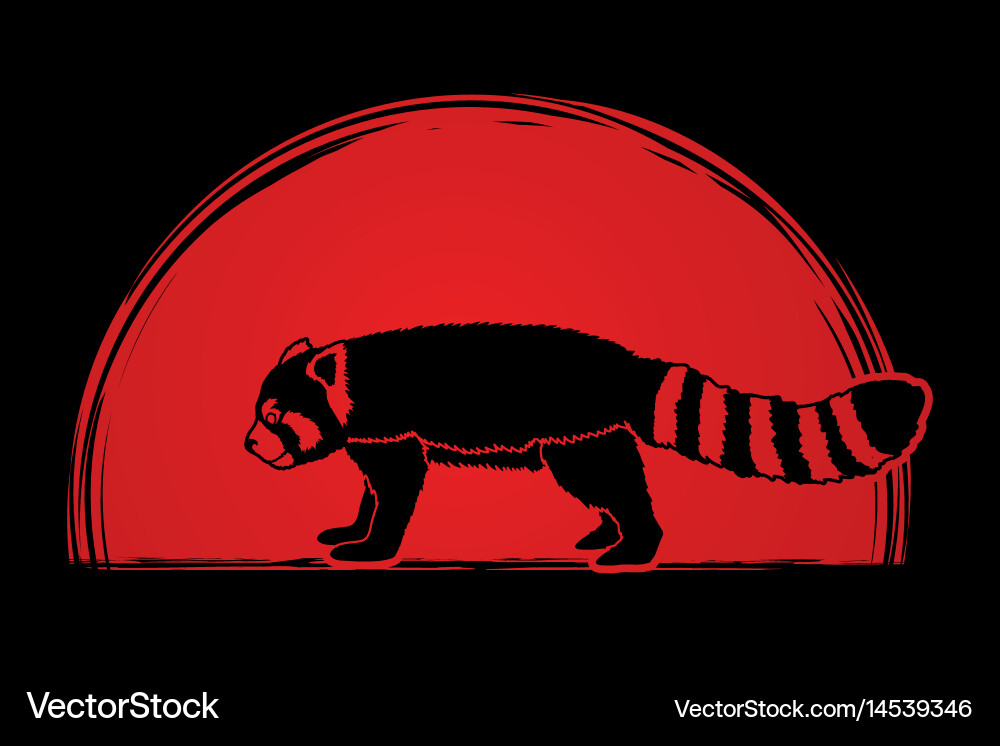 Red panda side view Royalty Free Vector Image - VectorStock