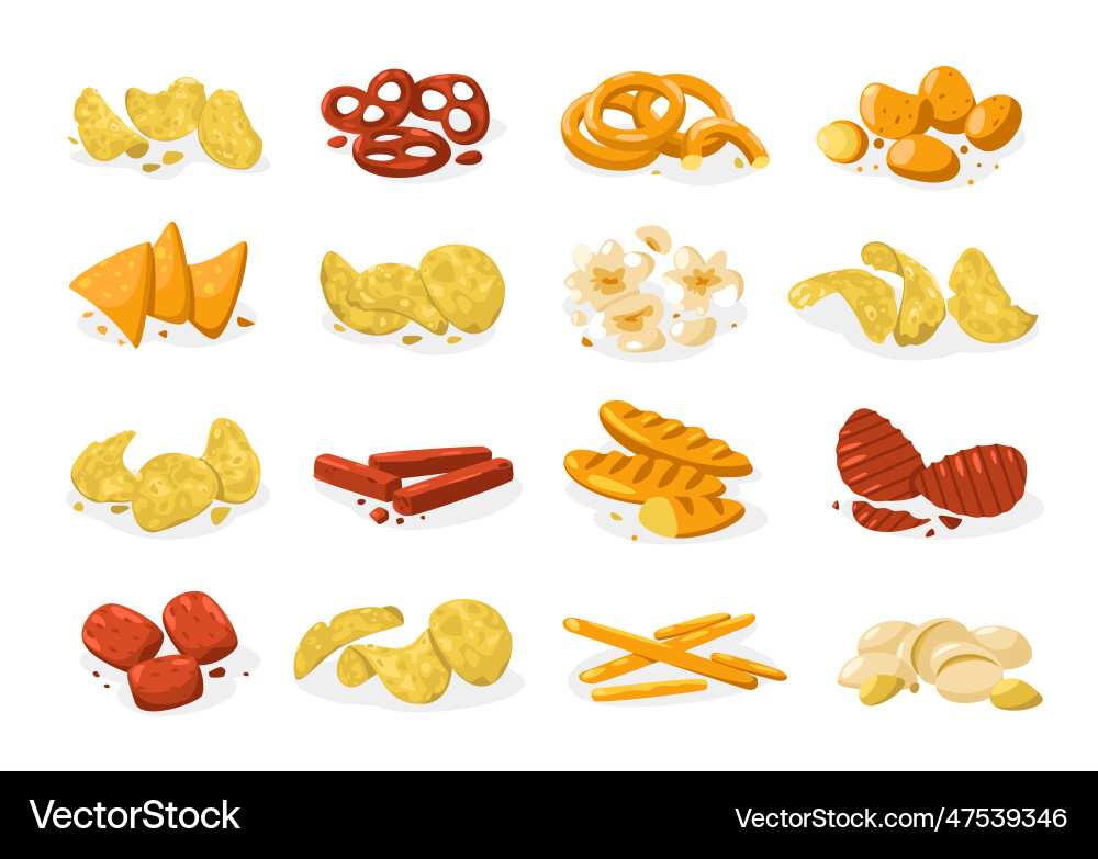 Salty snacks collection crunchy crackers fried Vector Image