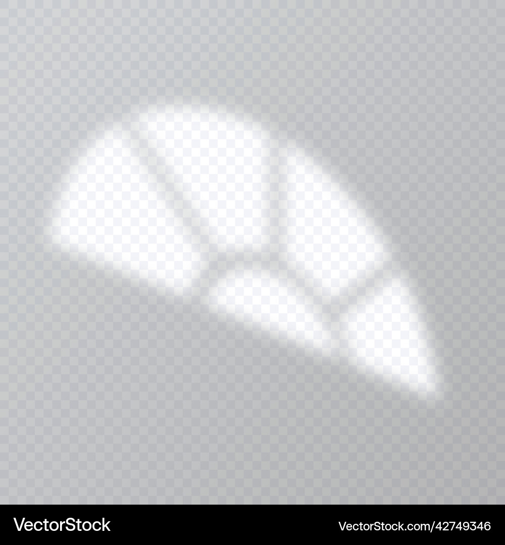 Shadow overlay effect soft light and shadows Vector Image