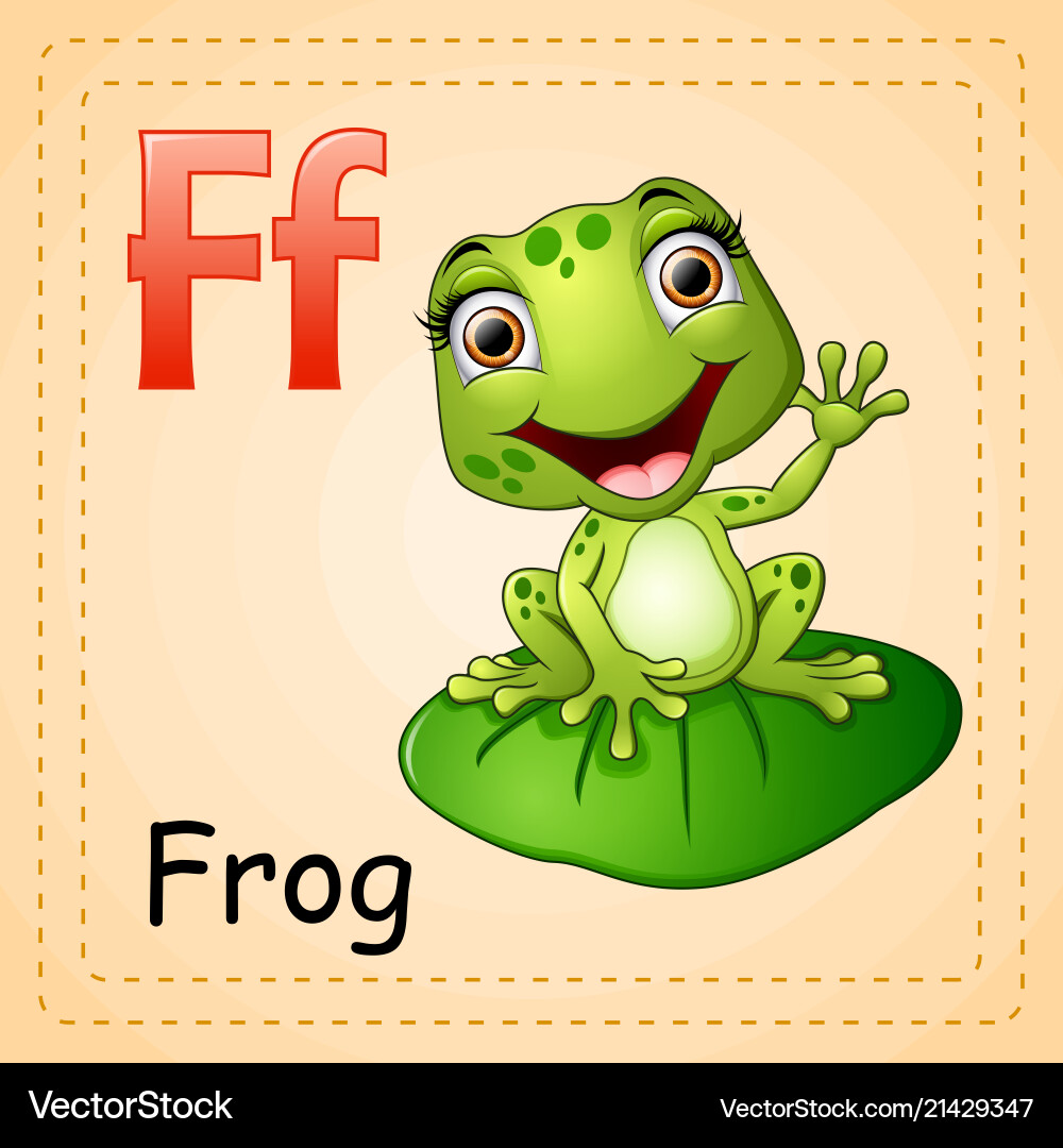 Animals alphabet f is for frog Royalty Free Vector Image