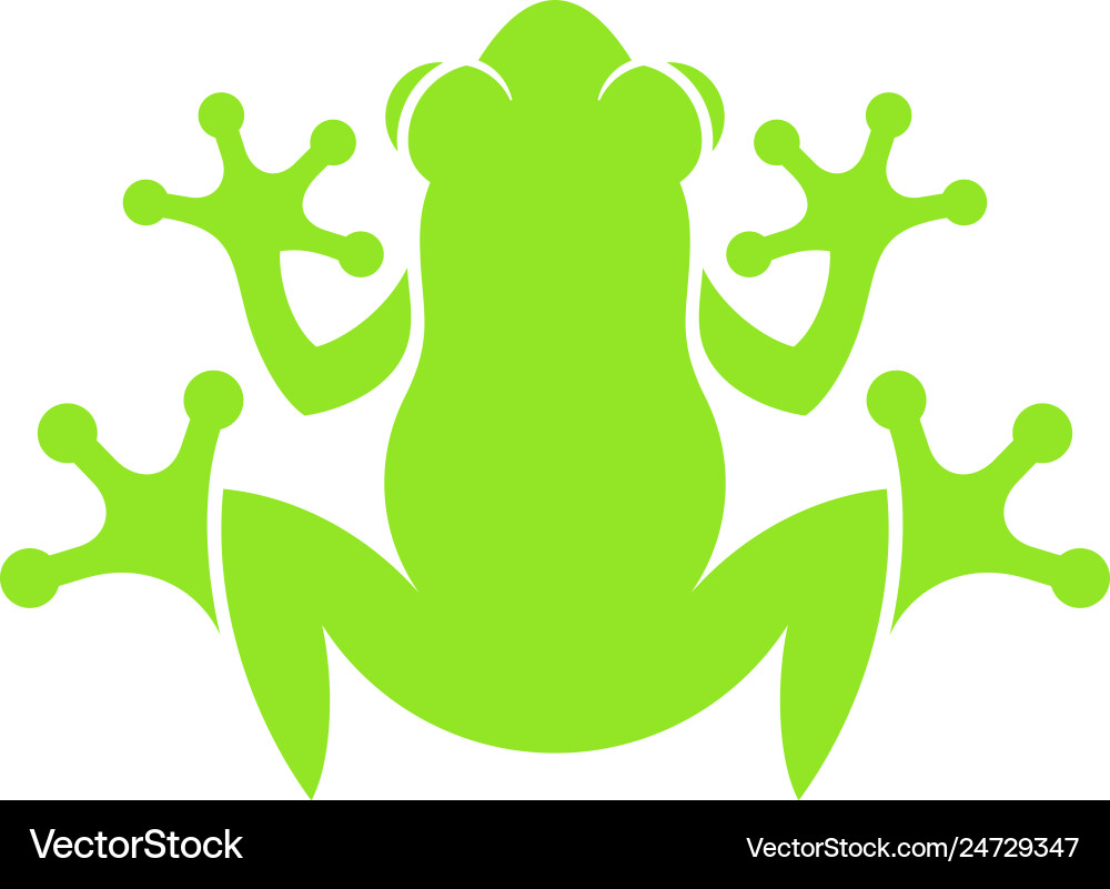 Red eyed tree frog Royalty Free Vector Image - VectorStock