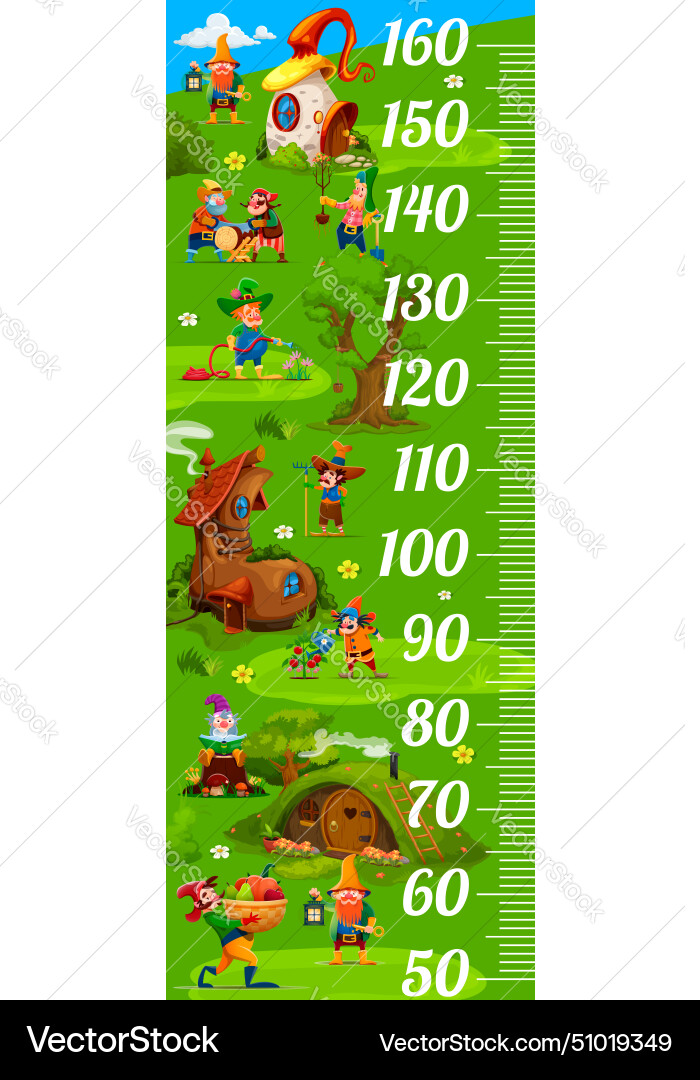 Kids height chart ruler garden gnome and dwarf Vector Image