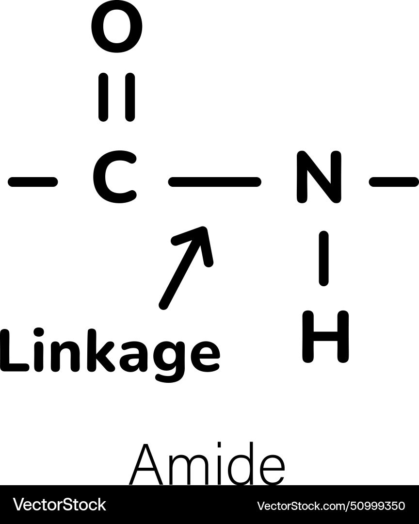 Amide Royalty Free Vector Image - VectorStock