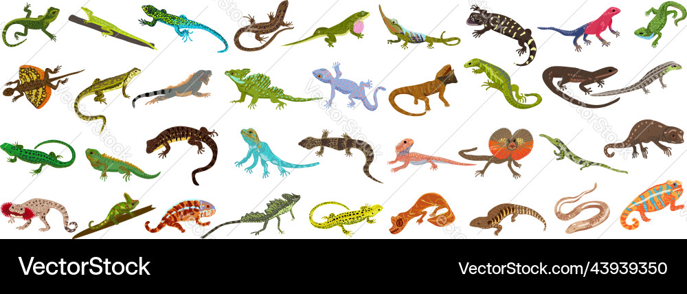 Cartoon Lizard Icon Set - Diverse Reptiles Vector Image