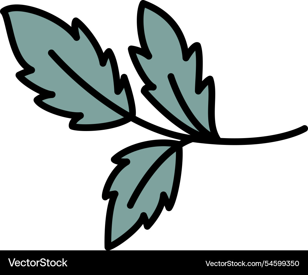 Classic green leaf cluster Royalty Free Vector Image